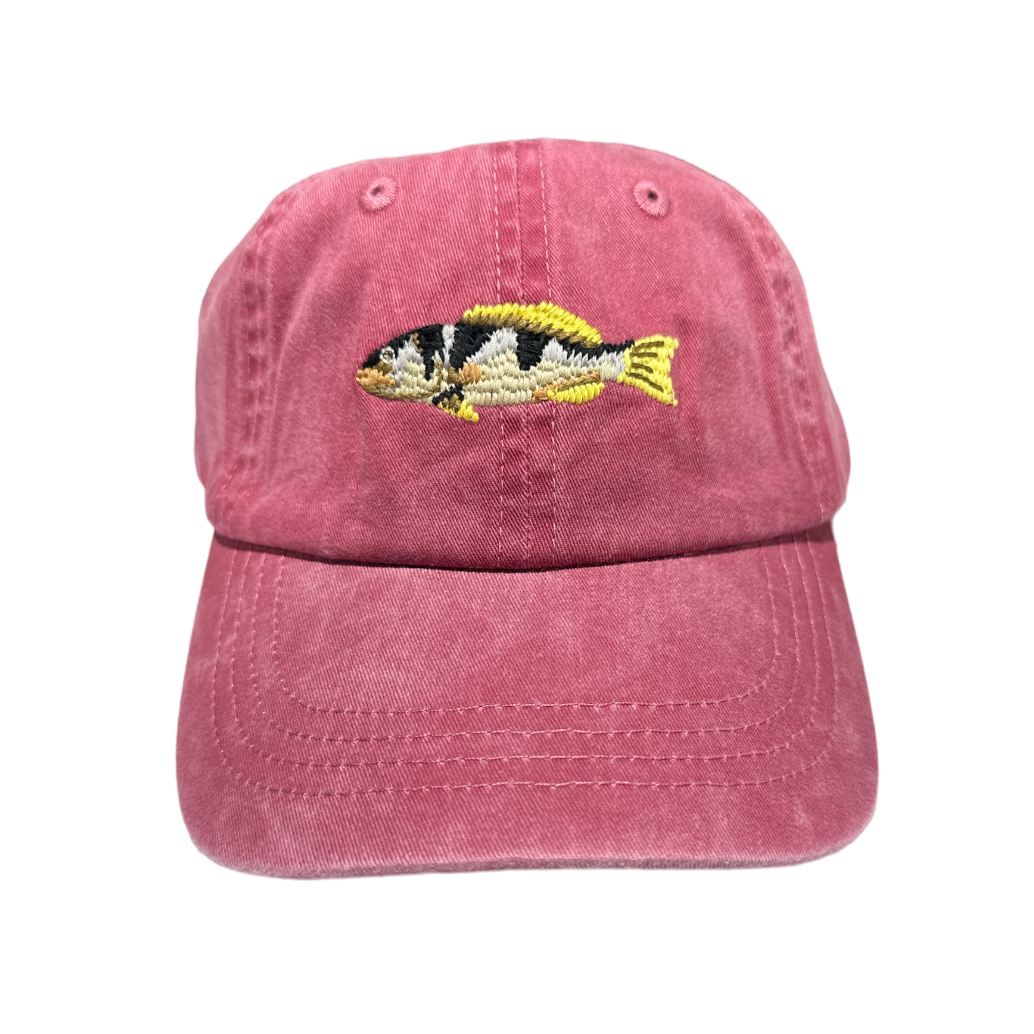 Footballer Fish Lid – Ocean Universal - Cairns