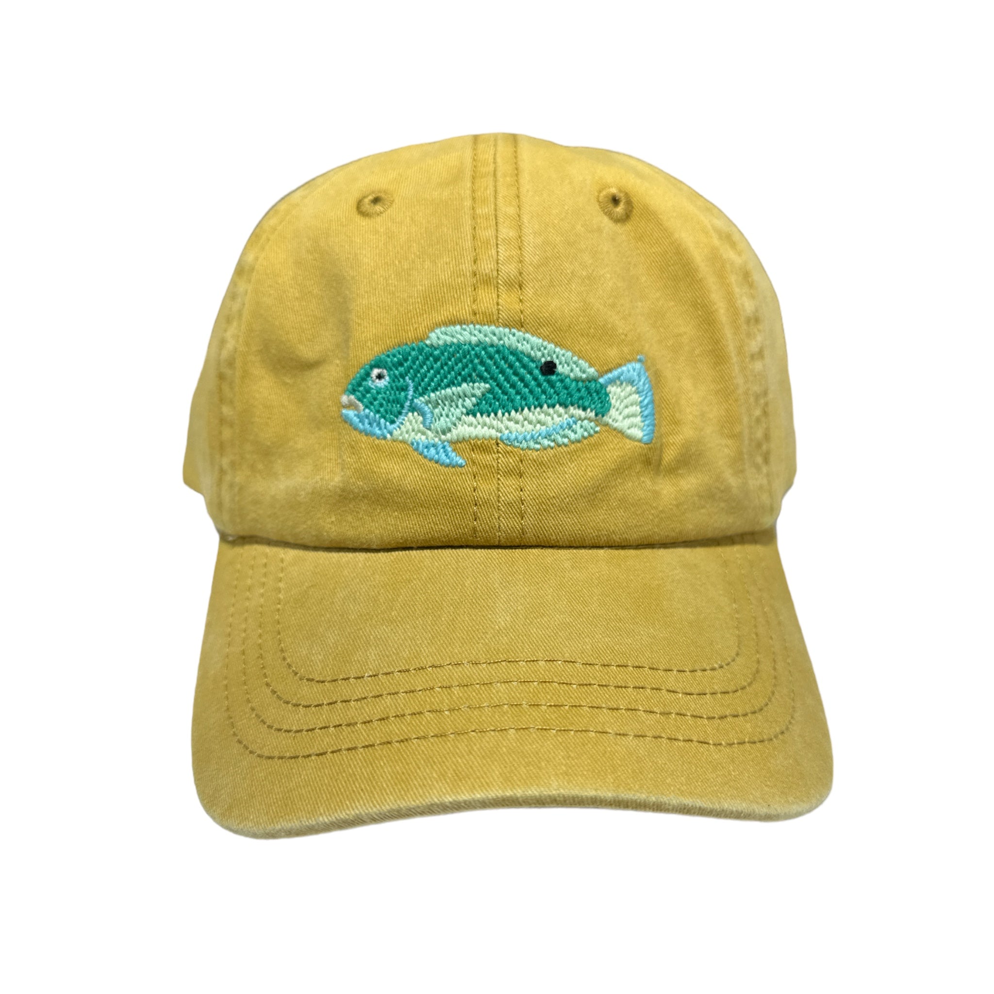 Tusky Fish Lid – Ocean Universal